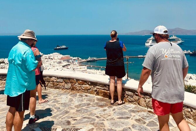 Mykonos Half-Day Highlights Tour: Beaches, Town & Culture - The Sum Up
