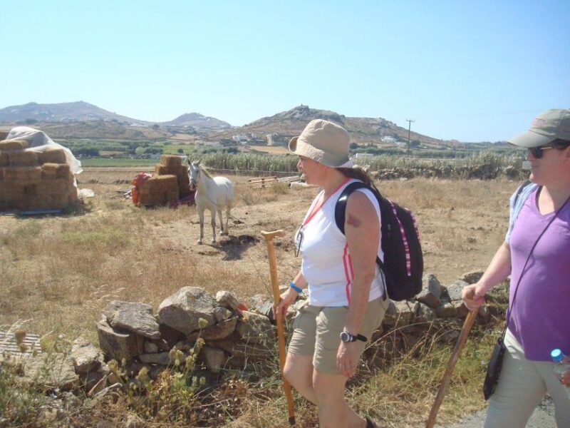 Mykonos Hiking Adventure - Final Thoughts: Who Should Consider This Tour?