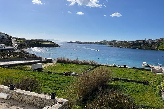 Mykonos In Half A Day Private Tour Designed Just For You - Practical Considerations