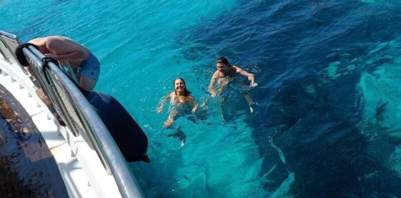 Mykonos: Little Venice and Agios Stefanos Cruise with Lunch - What Makes This Tour Stand Out?