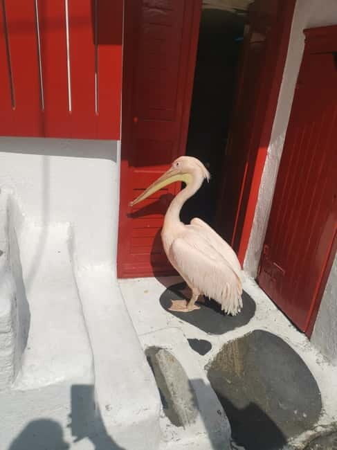 Mykonos: Private Tour with Range Rover - Who Should Book This Tour?