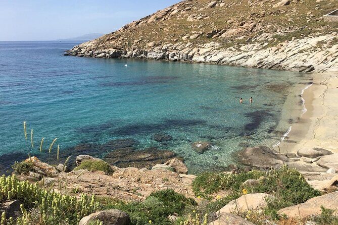 Mykonos Safari Island Tour - According To The Locals - The Practicalities