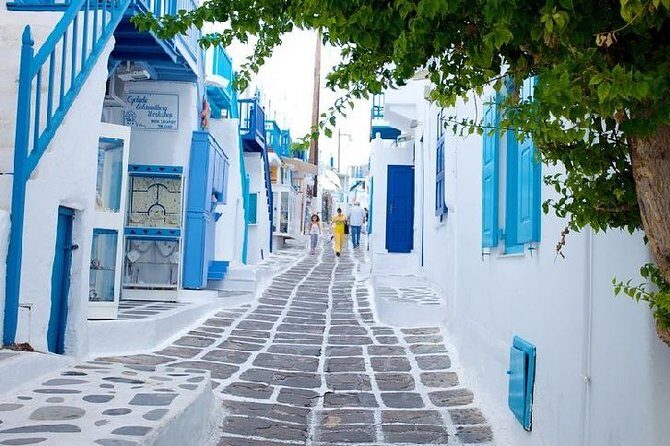 Mykonos Town and Island Half-Day Tour - Exploring the Itinerary in Detail
