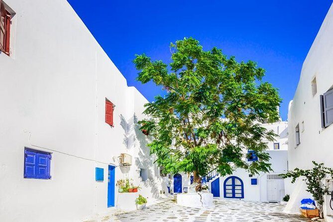 Mykonos Town and Island Half-Day Tour - Who Should Consider This Tour?