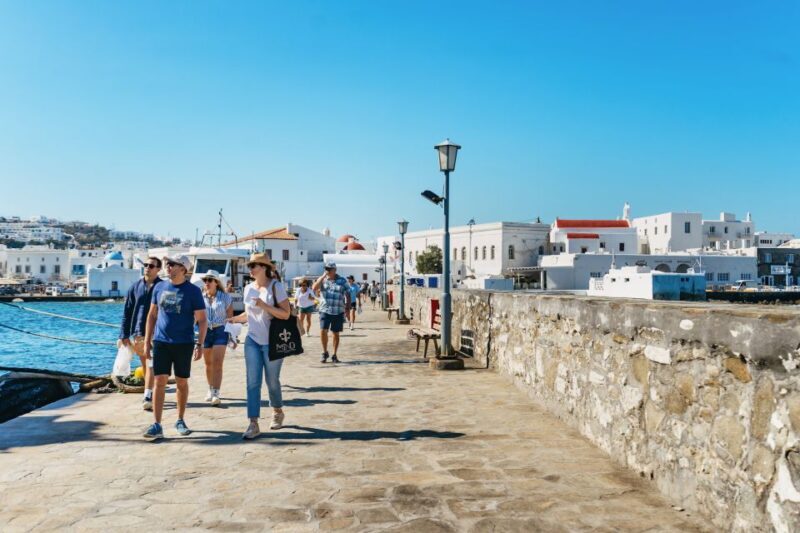 Mykonos Town: Archaeological Site of Delos Guided Day Trip - Value for Money