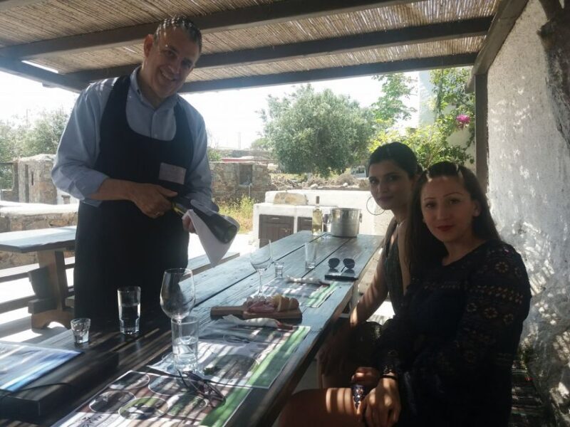 Mykonos: Wine Tasting at a Mykonian Farm - Key Points