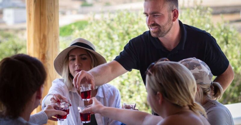 Mykonos: Winery Vineyard Experience with Food & Wine Tasting - What Is This Wine Tour All About?