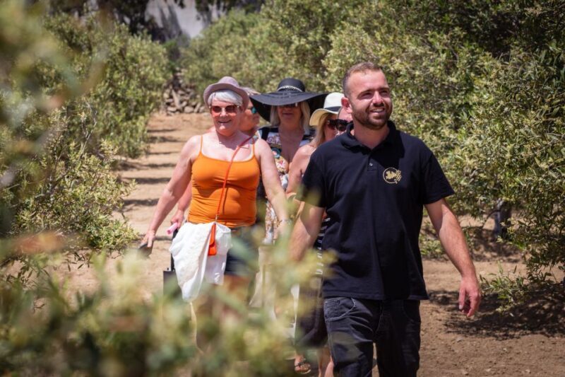 Mykonos: Winery Vineyard Experience with Food & Wine Tasting - Final Thoughts