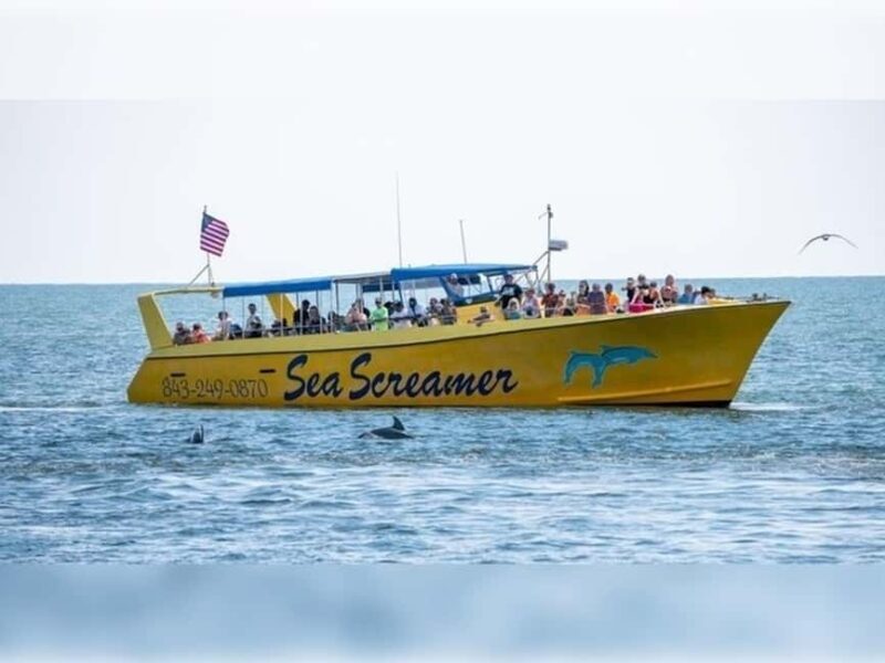 Myrtle Beach: Dolphin Cruise on the Sea Screamer - Key Points