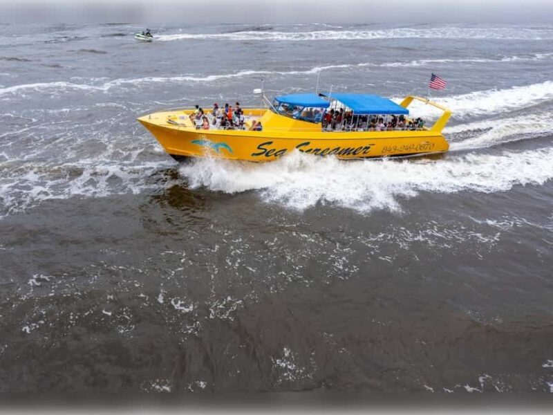 Myrtle Beach: Dolphin Cruise on the Sea Screamer - The Sum Up: Who Should Consider This Tour?