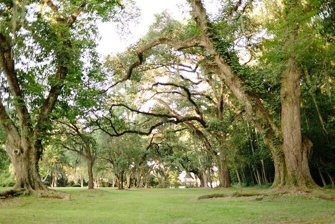 Myrtles Plantation Daytime Historical Tour - FAQ