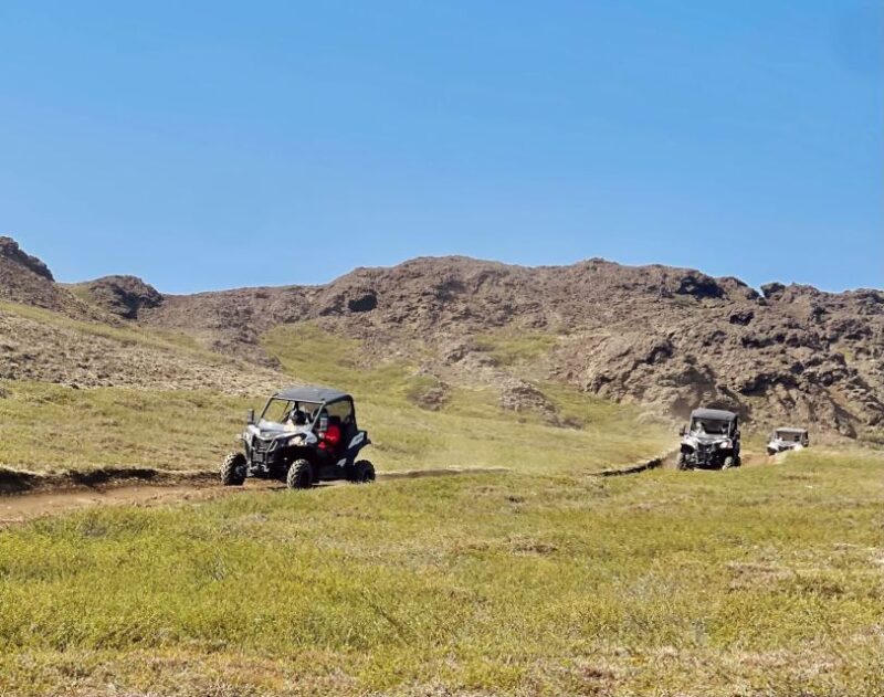 Mývatn: Lake Mývatn ATV Guided Safari Experience - FAQs