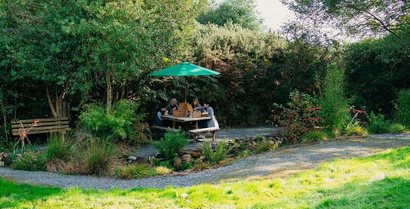 N. Ireland: Award Winning Guided Scenic Alpaca Trekking - The Coffee Stop on the Island