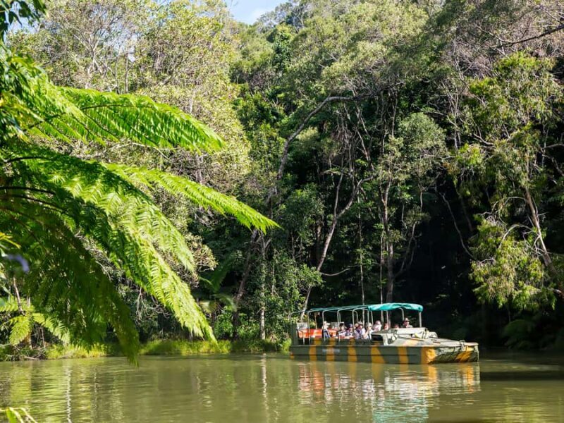N. Queensland: Kuranda Rainforest Full-Day Tour - Key Points