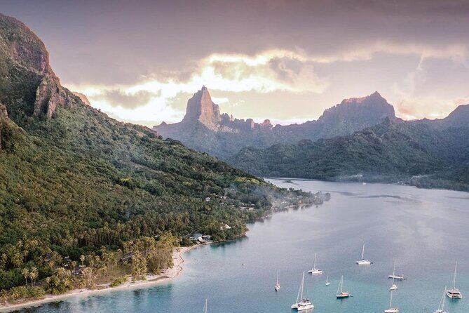 N°1 Moorea Transfers Shuttle Airport Ferry terminal - Frequently Asked Questions