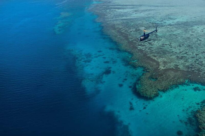 Nadi: 25 minutes Mamanuca Island Tour - Who Is This Tour Best For?