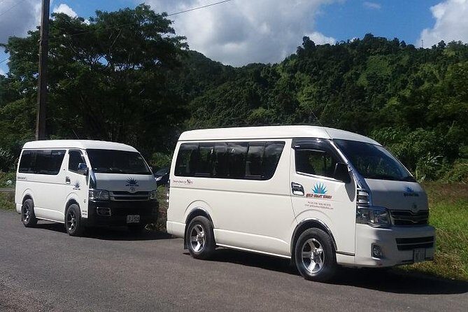 Nadi Airport to Fiji Marriot Resort, Momi Bay - Private Mini-Van (1-7 Pax) - The Itinerary and What to Expect