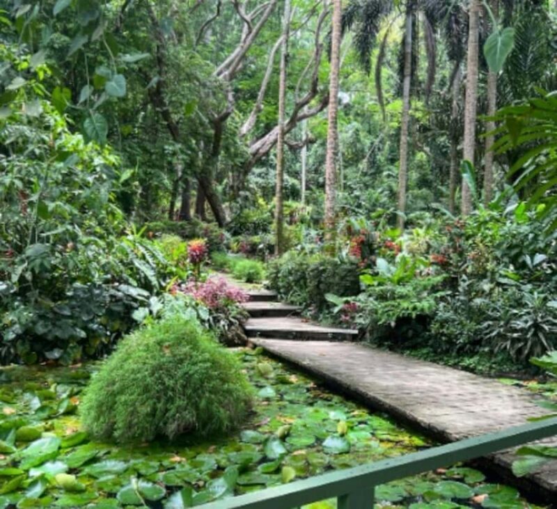 Nadi: Culture, Temples, Markets & Garden Adventure - Who Will Enjoy This Tour?