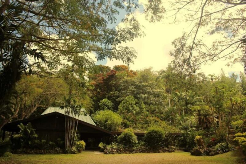 NADI: Exquisite Orchid Garden Tour with Hotspring & Mudpool - Final Thoughts