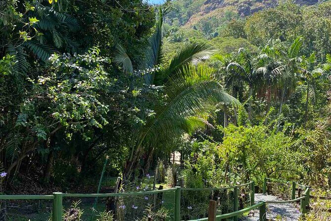 Nadi Fiji Historical Half Day Tour - Why Choose the Nadi Fiji Historical Half Day Tour?