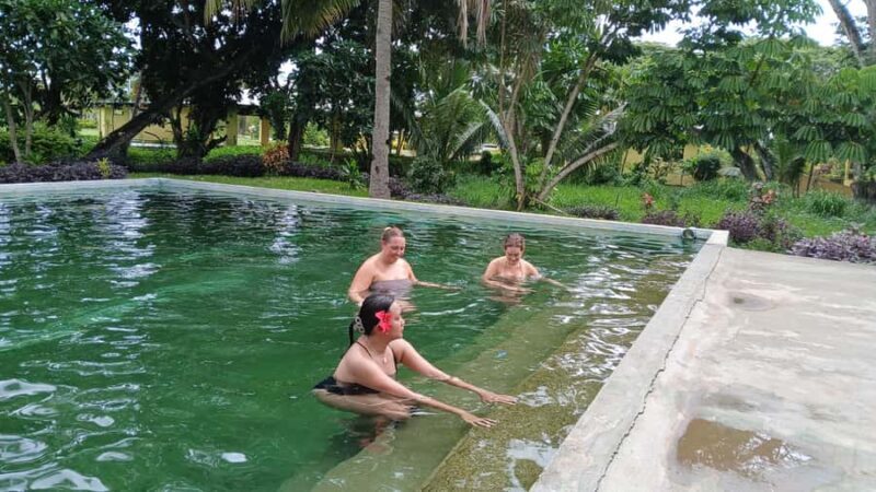 NADI: Fijian Heritage Village Tour & Hotspring and Mudpool - Final Thoughts: Who Will Love This Tour?