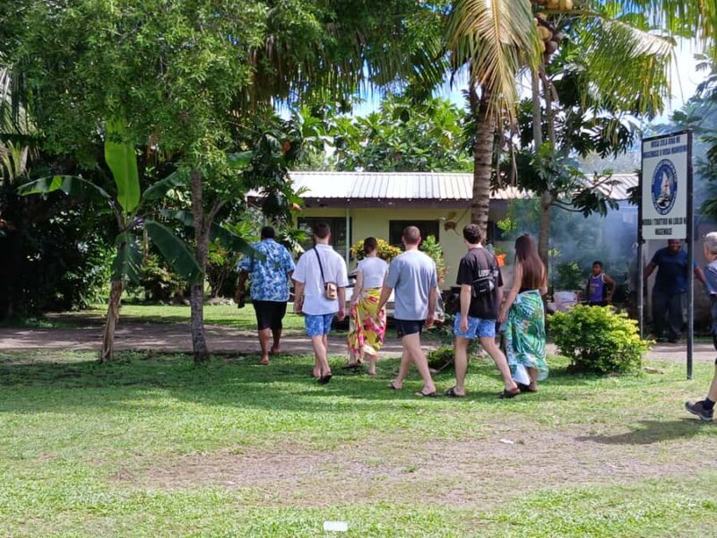 Nadi: Fijian Village Tour with Tifajek Mudpool and Hotspring - The Experience: What Guides and Visitors Have Said