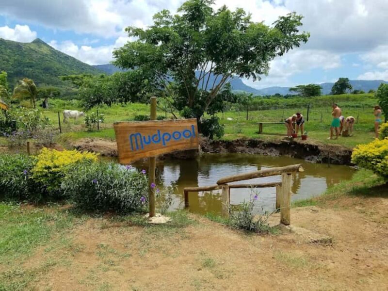 Nadi: Mud Pool and Hot Spring Private Tour - Final Thoughts: Who Should Consider This Tour?