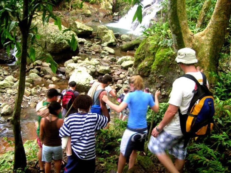 NADI: Nalesutale Village Half Day Tour - Authentic Experiences That Stand Out