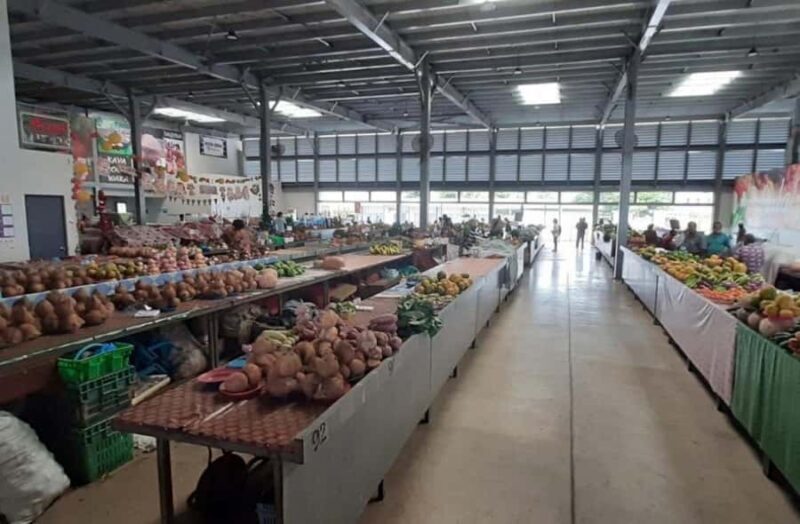 Nadi: Private Tour with Temple, Garden, Markets & Mud Pools - Practical Details and What You Should Know