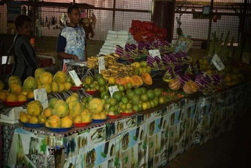 Nadi: Private Tour with Temple, Garden, Markets & Mud Pools - Final Thoughts