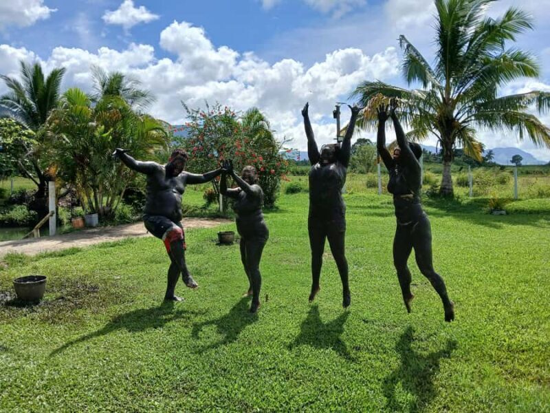 NADI: Sabeto Tifajek Mudpool & Hot Spring Tours & Tickets - Key Points