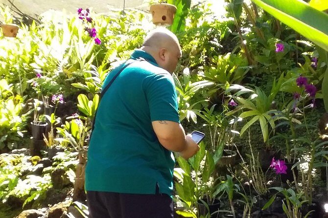 Nadi Sightseeing Including Viseisei Lookout, Village Tour, Garden & Temple Tour - The Sum Up