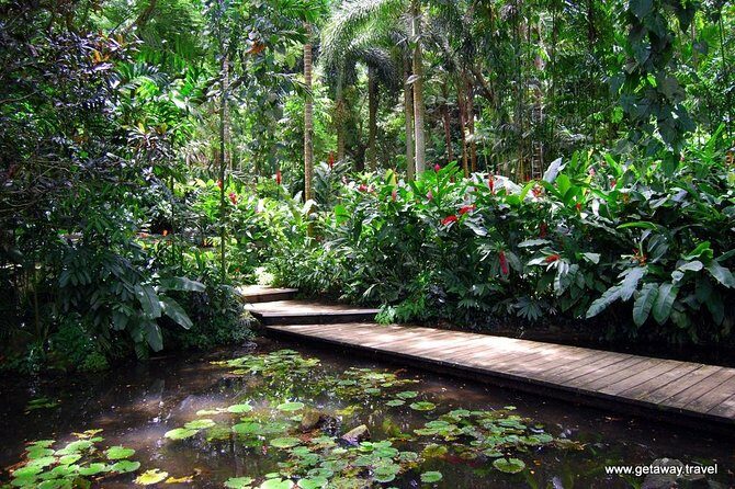 Nadi Sightseeing & Mud Pool Tour - Ex Fiji Marriott, Momi Bay - A Deep Dive into the Experience