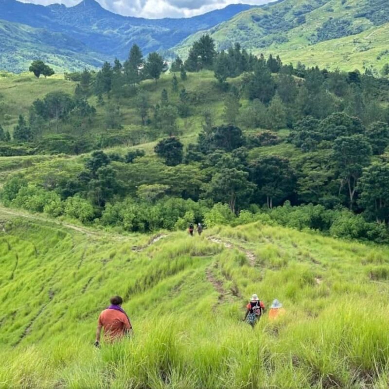 Nadi: Waterfall Tour Adventure with Refreshments and Lunch - FAQ