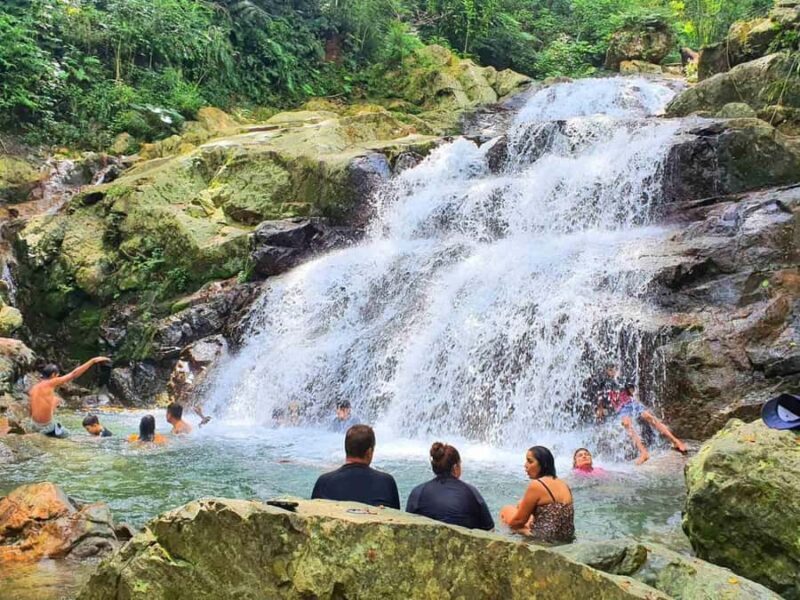 Nadi: Zipline, Waterfalls, and Jungle Safari Tour with Lunch - The Itinerary: What to Expect from Start to Finish