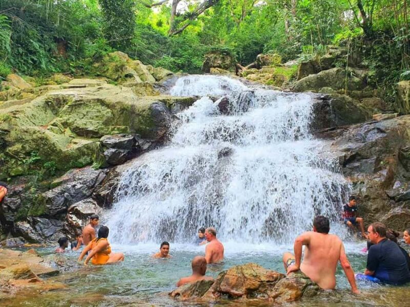 Nadi: Zipline, Waterfalls, and Jungle Safari Tour with Lunch - The Sum Up: Is This Tour Worth It?