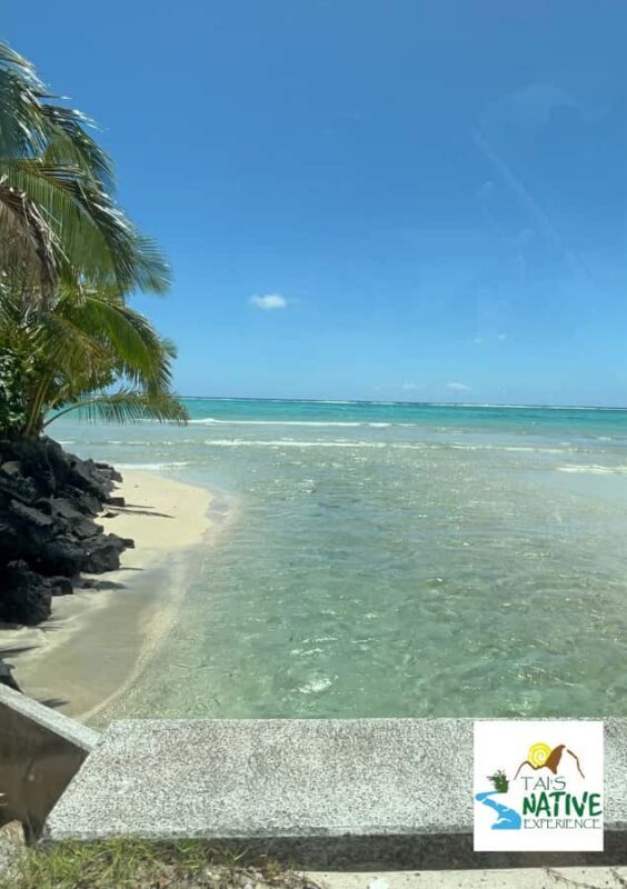 Namua Turtle Island Tour with Snorkeling - Exploring Samoa: A Detailed Look at the Namua Turtle Island Tour