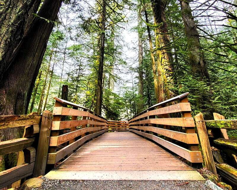 Nanaimo: Vancouver Island Waterfalls, Vistas, Hikes & Caves - An In-Depth Look at the Vancouver Island Waterfalls, Vistas, Hikes & Caves Tour