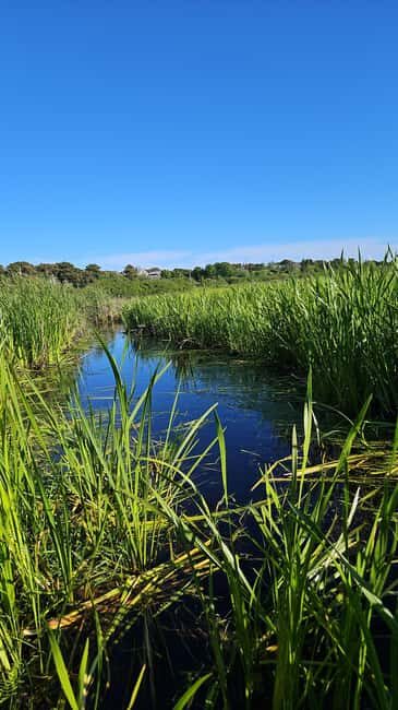 Nantucket: Historical Landmarks Sightseeing Bus Tour - Introduction