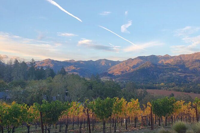 Napa and Sonoma Private Transportation - Why Choose Private Transportation in Napa & Sonoma?