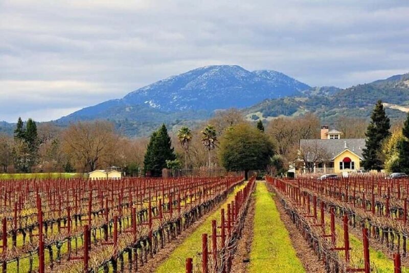 Napa and Sonoma Small Group Wine Tour from San Francisco - Key Points