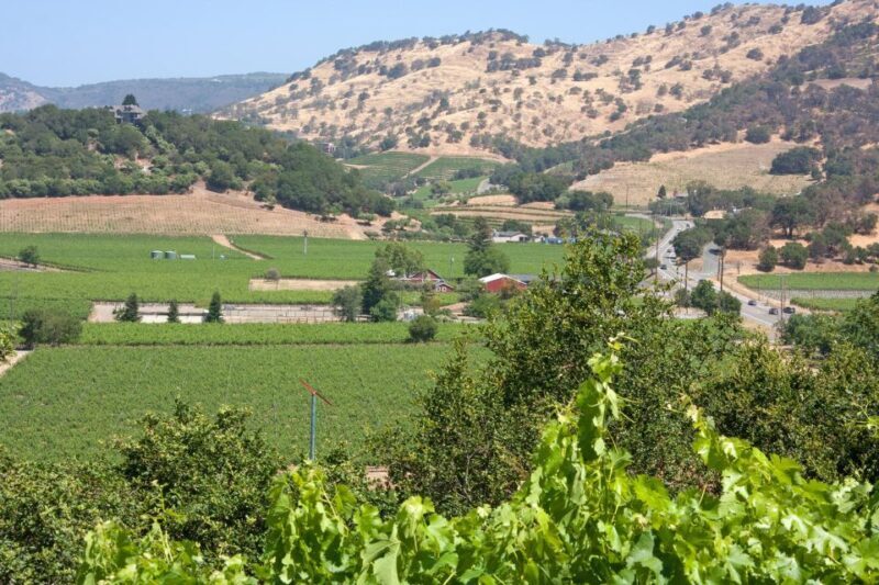 Napa Valley: Driver & Guide Service California wine country
