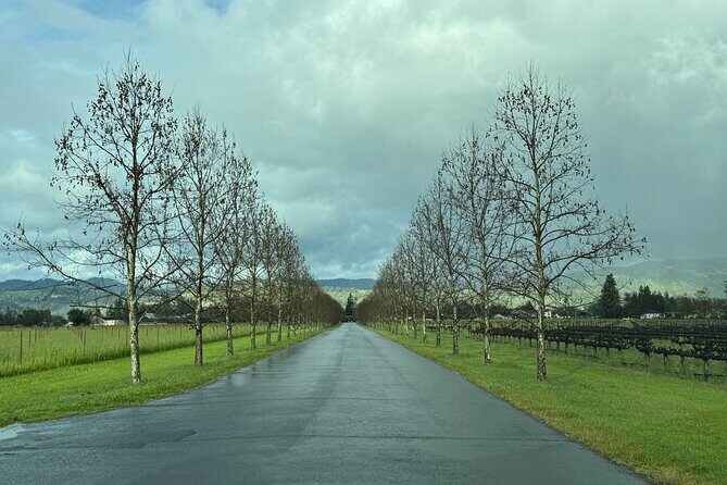 Napa Wine Tours - Authentic Insights from Past Travelers