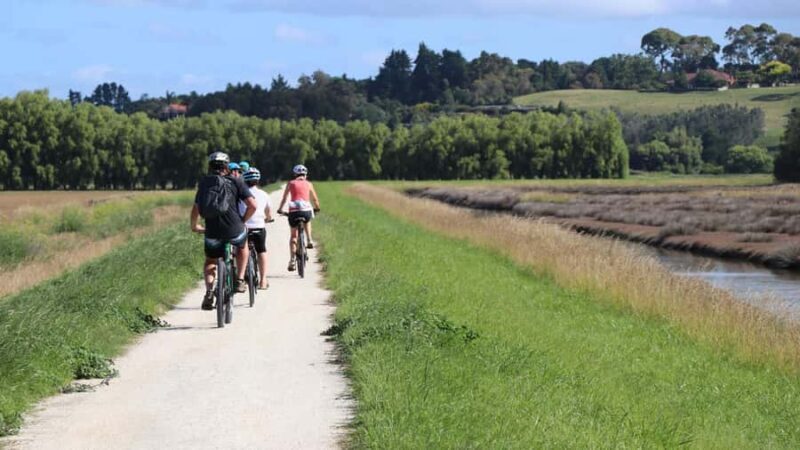 Napier: Art Deco Bike Ride and Wineries Loop - Who Will Love This Tour?