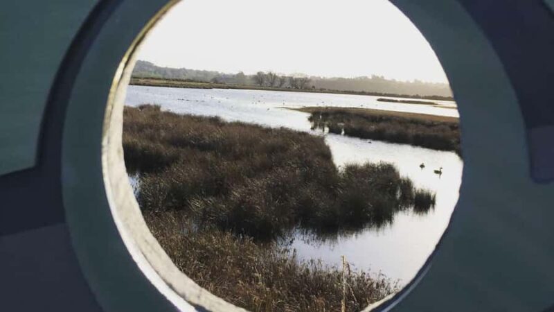 Napier: Art Deco Bike Ride and Wineries Loop - FAQ