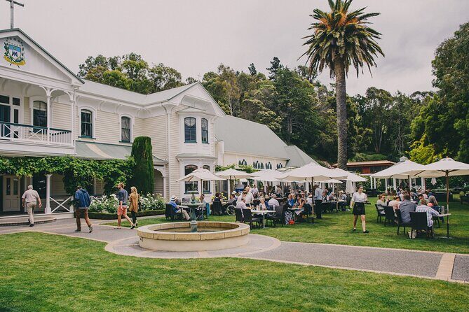 Napier Bike Hire - What You Can Expect from the Bike Rental Experience