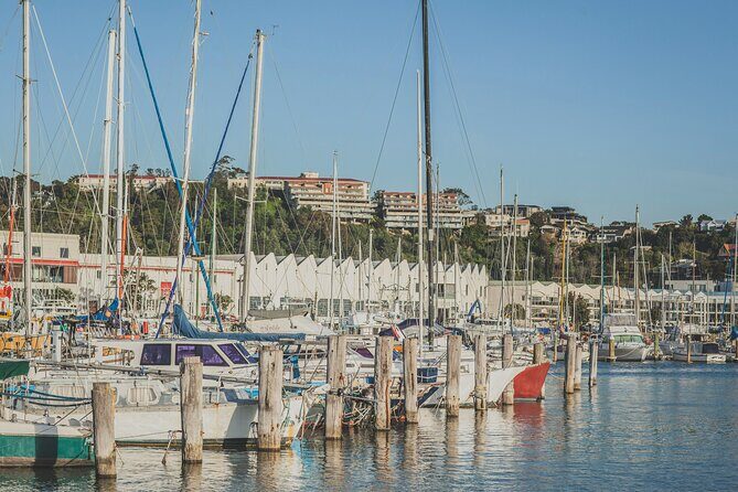 Napier Bike Hire - Who Would Love This Experience?