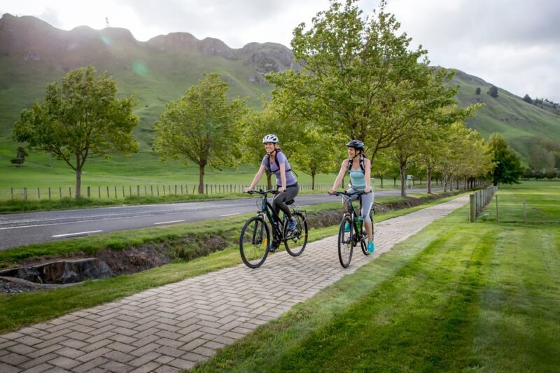 Napier: Cape Coast Winery Tour on E-Bikes - Price and Value