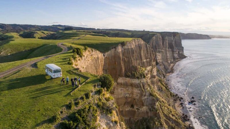 Napier: Cape Kidnappers Gannet, Nature & Sightseeing Tour - Introduction