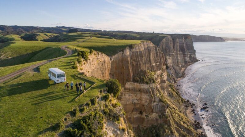 Napier: Cape Kidnappers Gannet, Nature & Sightseeing Tour - Value for Money